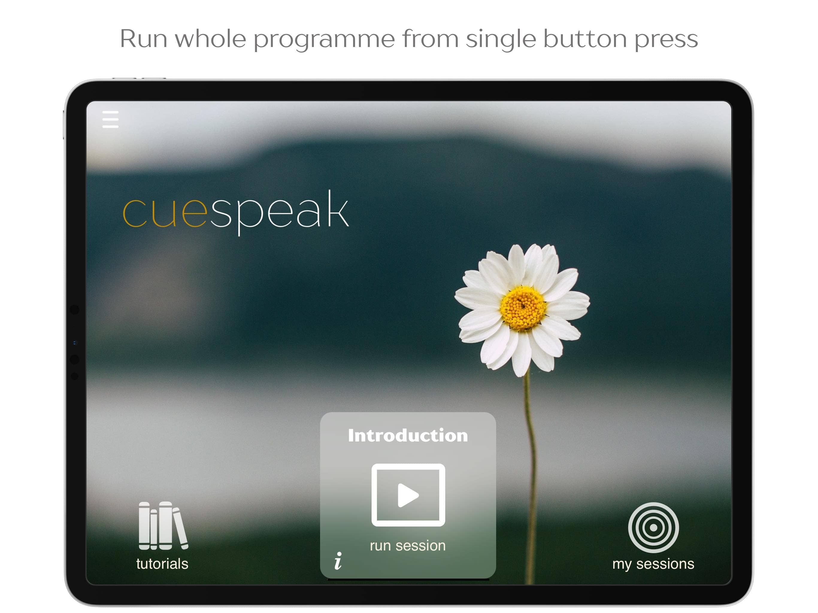 cuespeak – speech and language therapy workstation