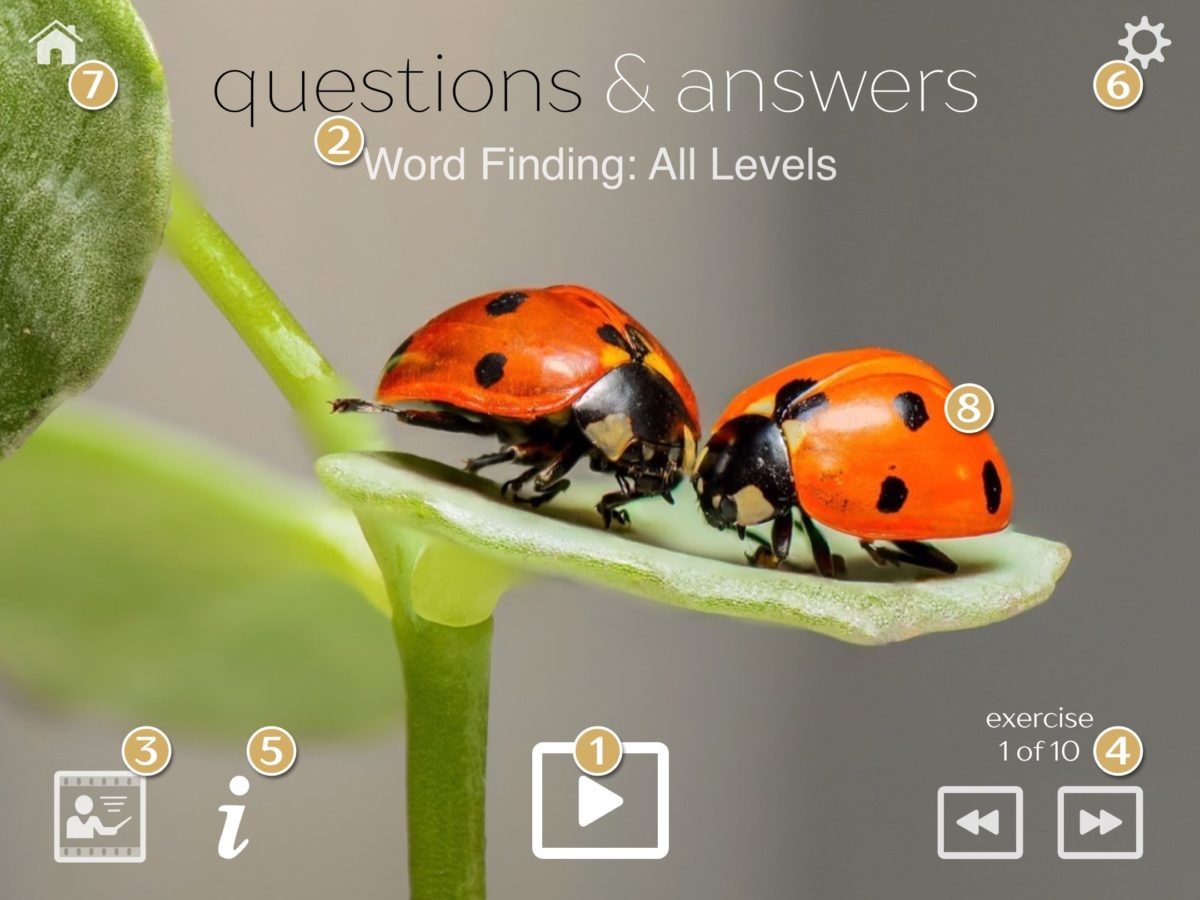 Exercise introduction screen - Cuespeak